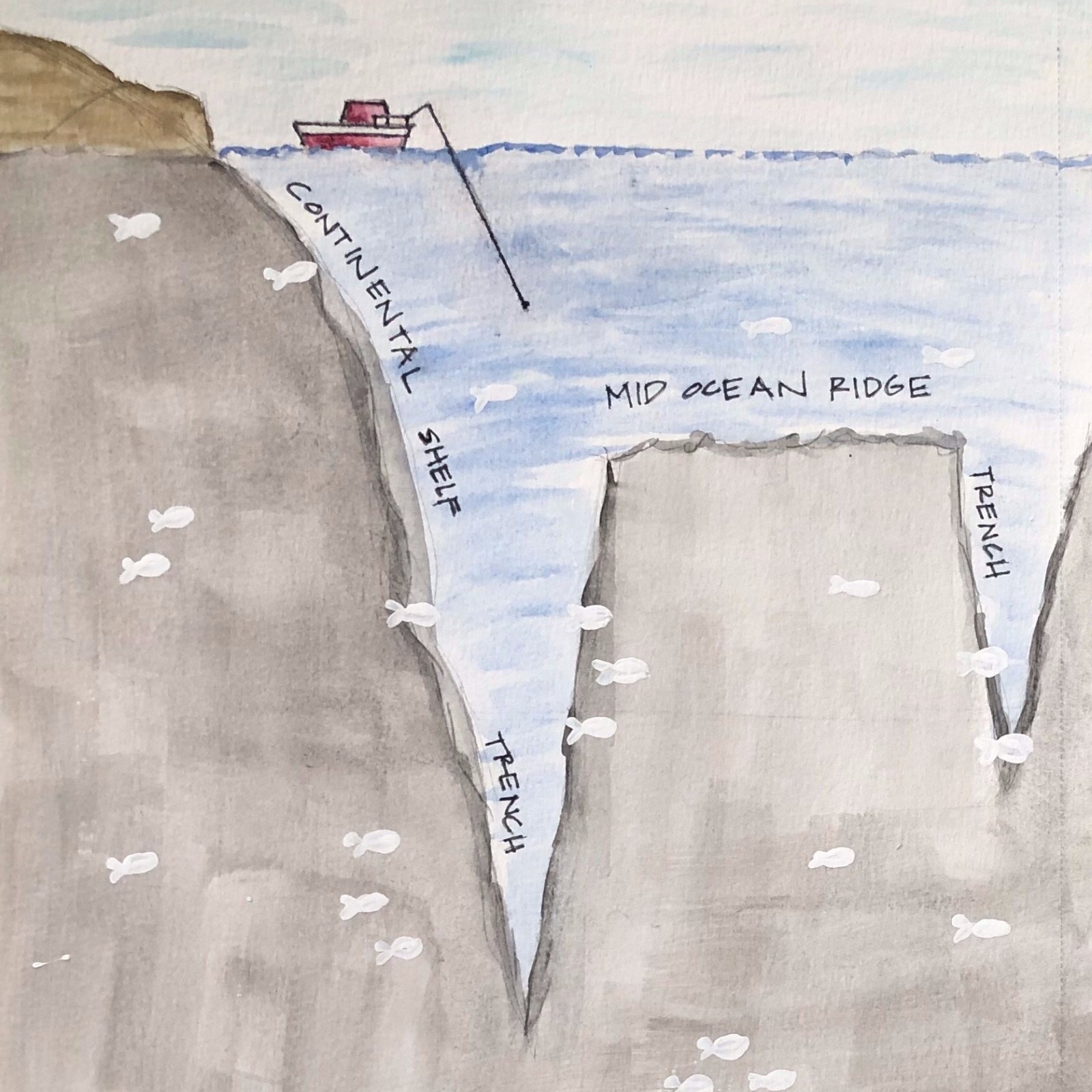 CC cycle 1.week 18.science.ocean floor