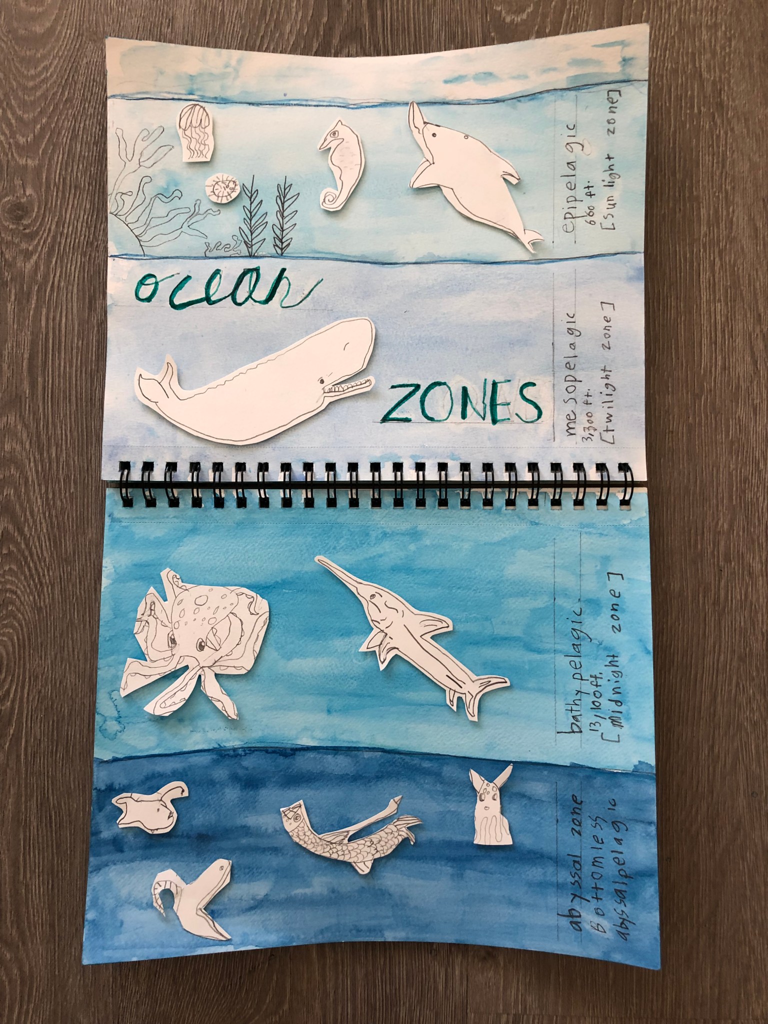 cc cycle 1.week 19.science.ocean zones