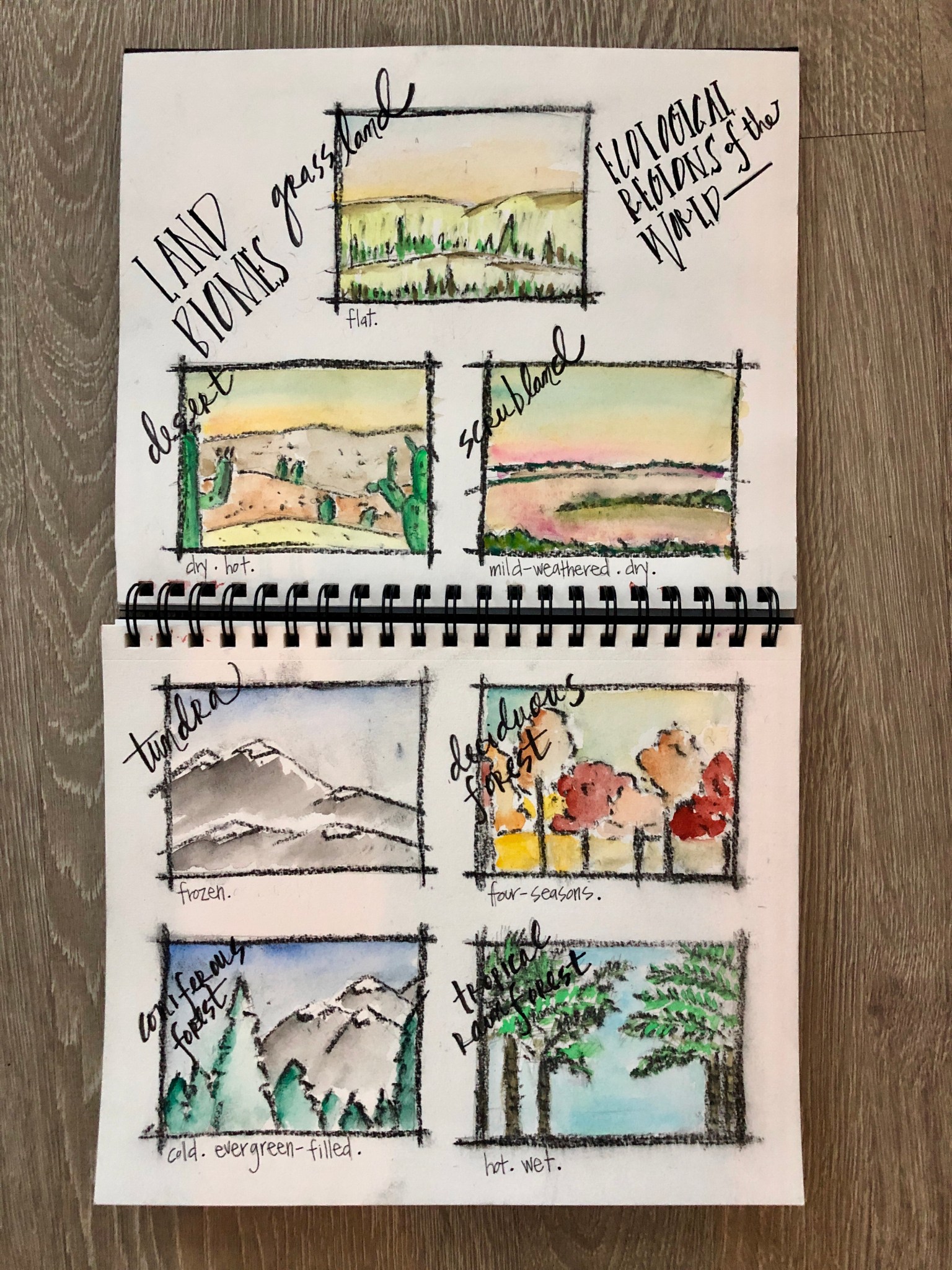 cc cycle 2.week 2.science.land biomes