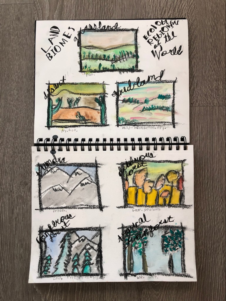 cc cycle 2.week 2.science.land biomes