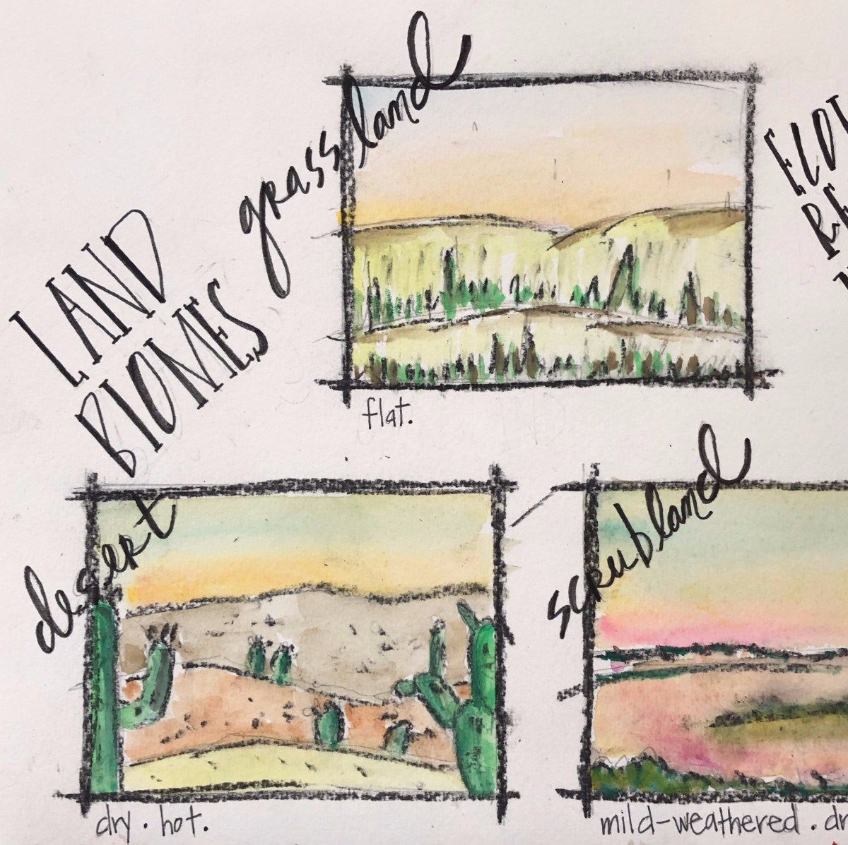 cc cycle 2.week 2.science.land biomes