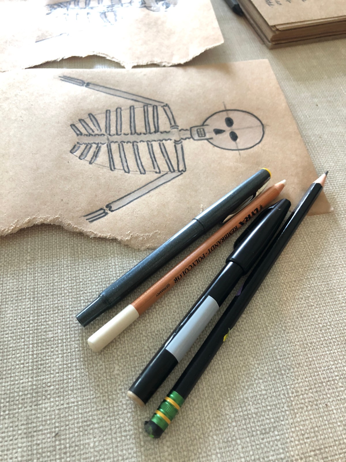 cc cycle 3.week 2.science.axial skeleton