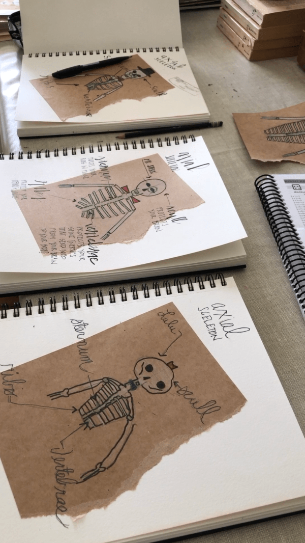 cc cycle 3.week 2.science.axial skeleton