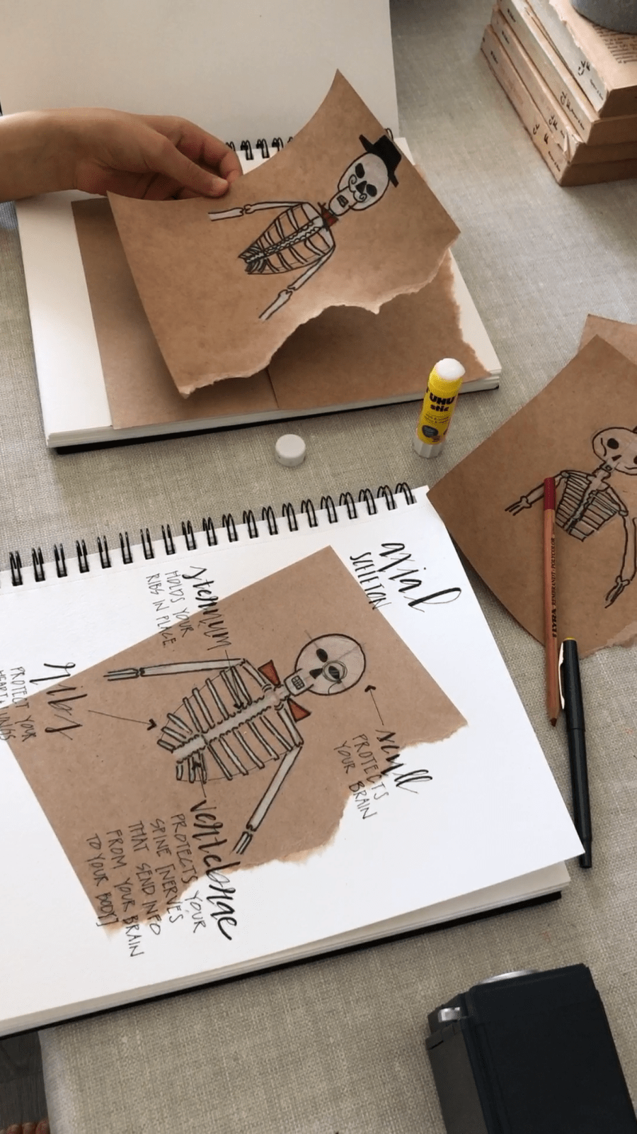 cc cycle 3.week 2.science.axial skeleton